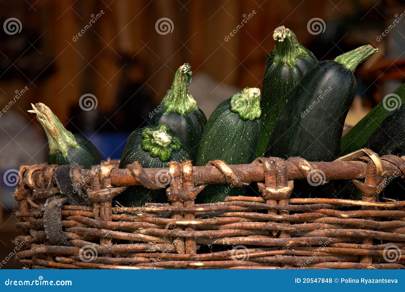 Green vegetable marrows stock photo. Image of oblong - 20547848