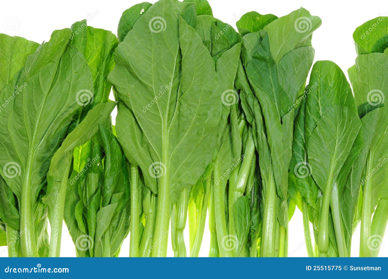 Green Vegetables , Chye Sim Stock Image - Image of fresh, fiber: 25515775