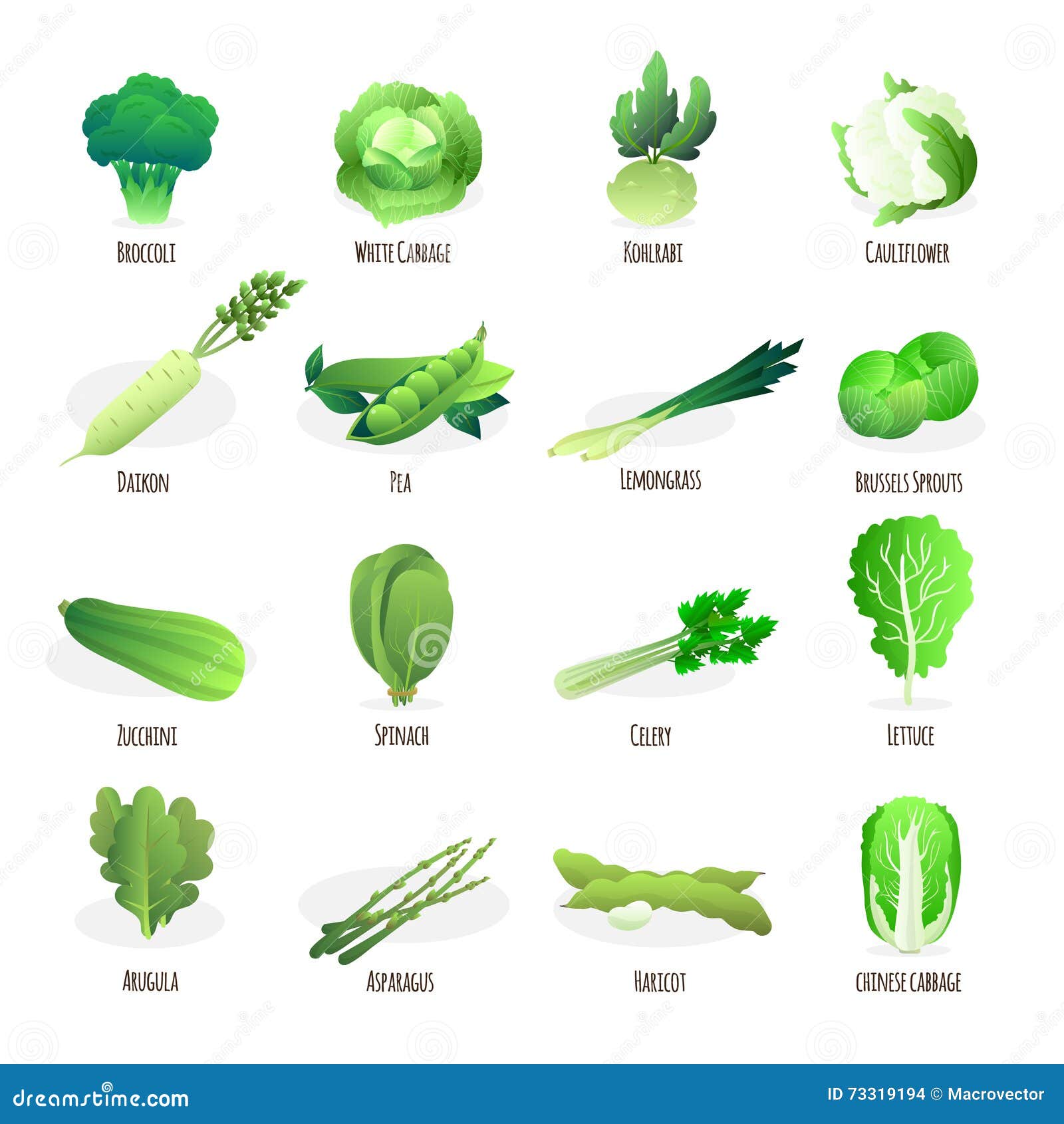 Green Vegetables Flat Icons Collection Stock Vector - Illustration of ...