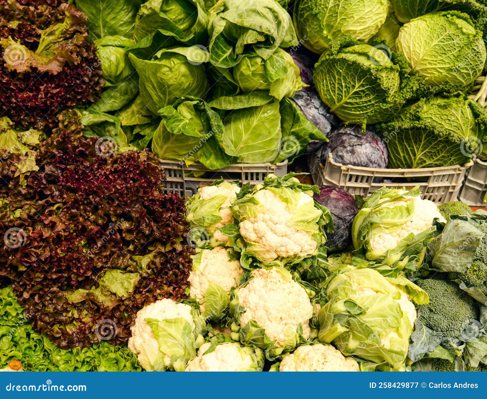 Green Vegetables, Lettuce, Cauliflower, Cabbage on Display on a Grocery ...