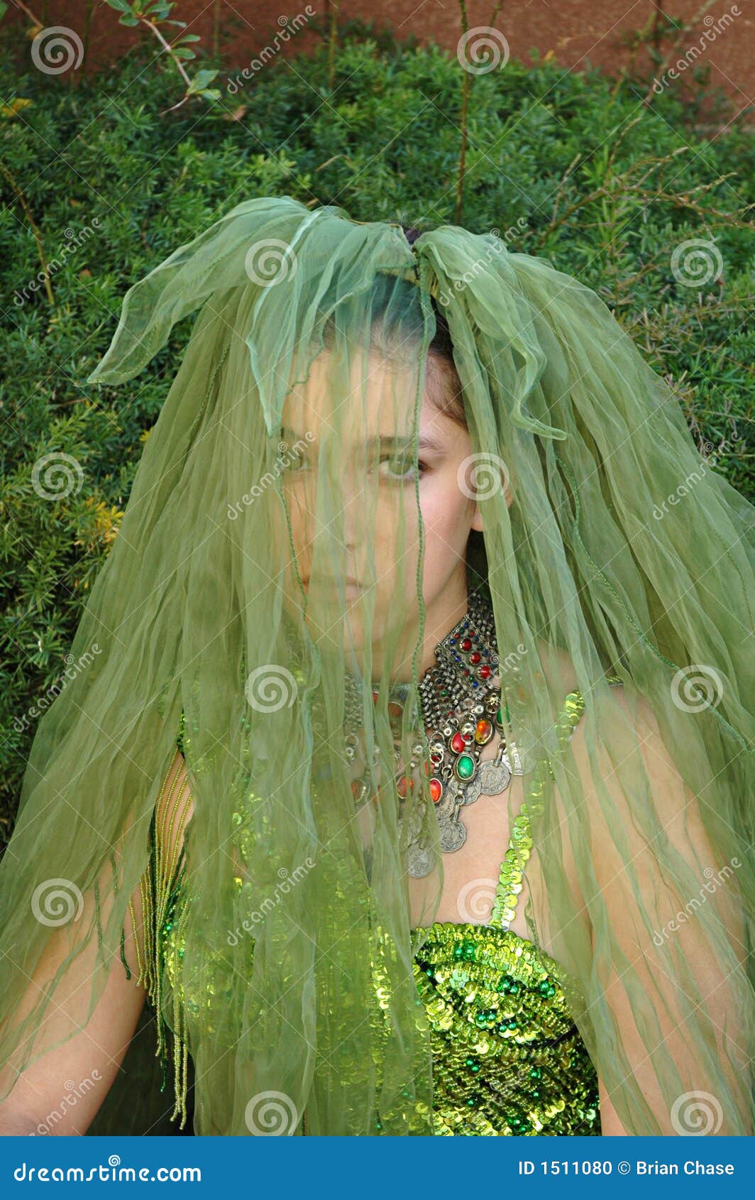 Green Veiled Girl stock photo. Image of attractive, fashionable - 1511080