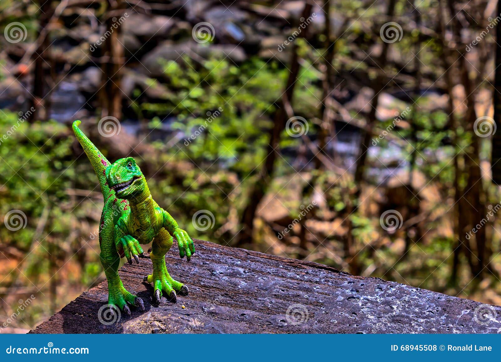 Green Velociraptor Dinosaur Walking On Rail Railroad Tracks Royalty ...