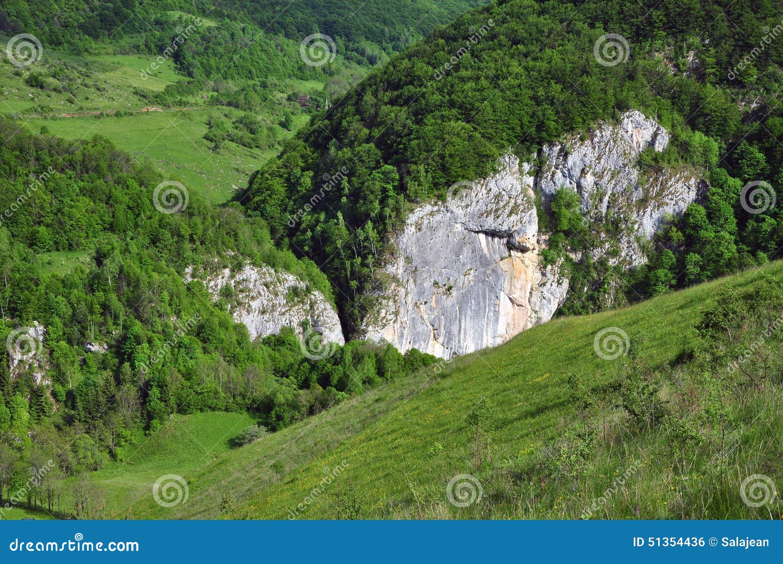 Green Vibrant Pasture with Limestone Rocks Stock Photo - Image of ...