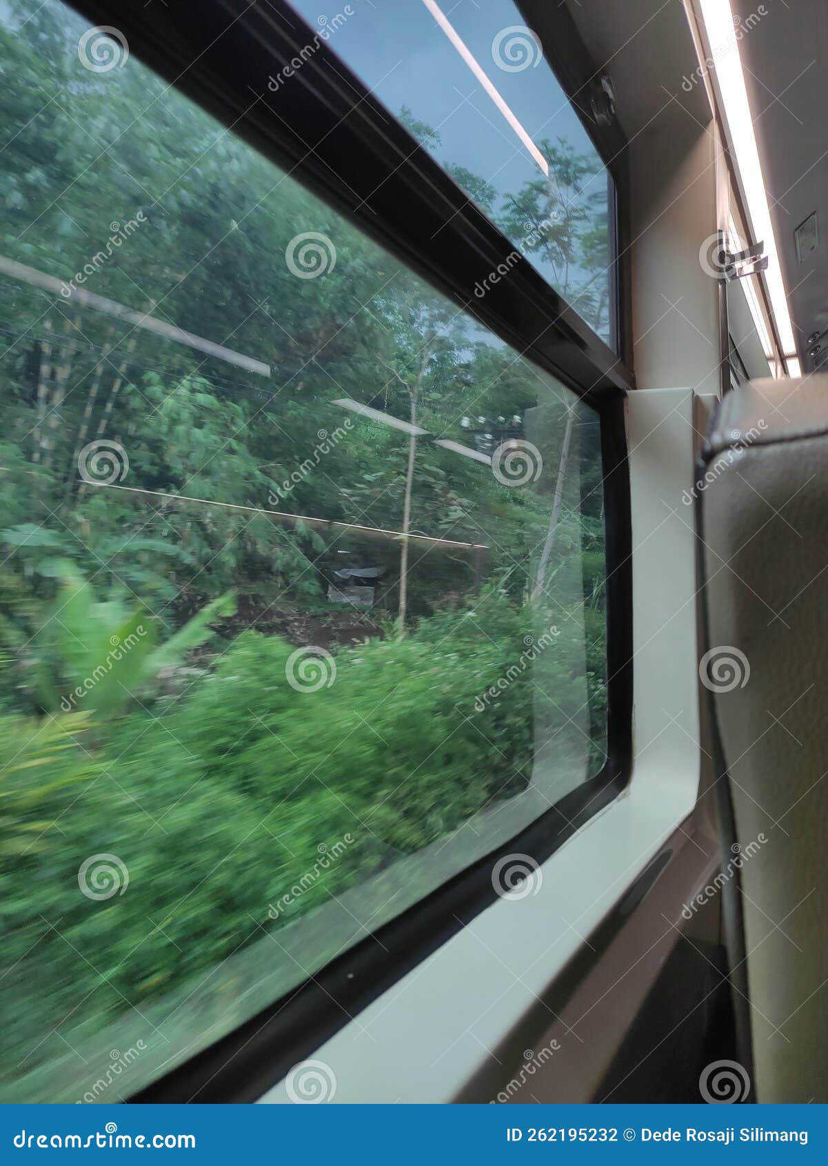 Green View from Behind the Train Window Stock Photo - Image of green ...