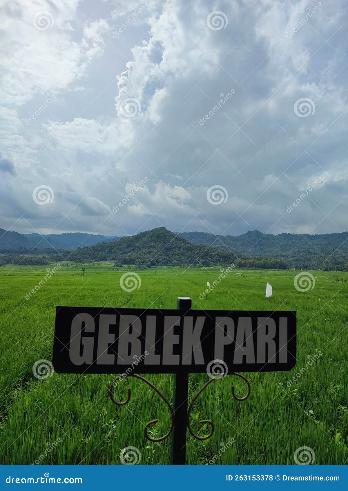 Green View at Geblek Pari Resto Editorial Stock Photo - Image of green ...