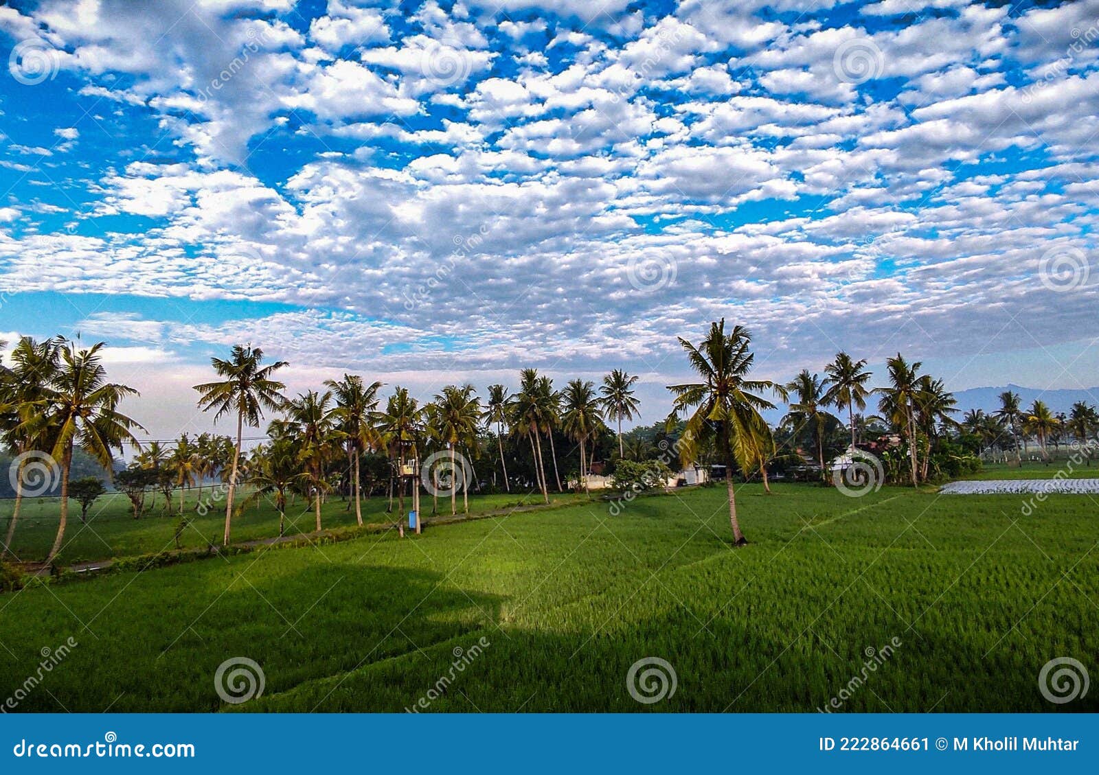 Green village desa indah stock image. Image of village - 222864661