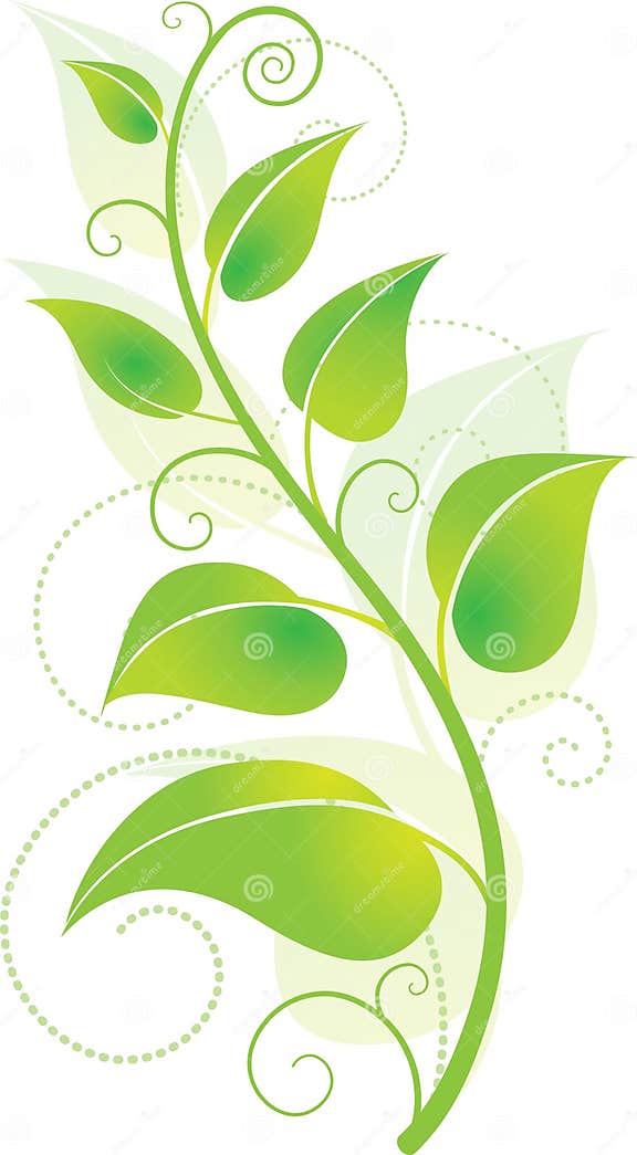 Green Vine stock vector. Illustration of garden, growing - 4337265
