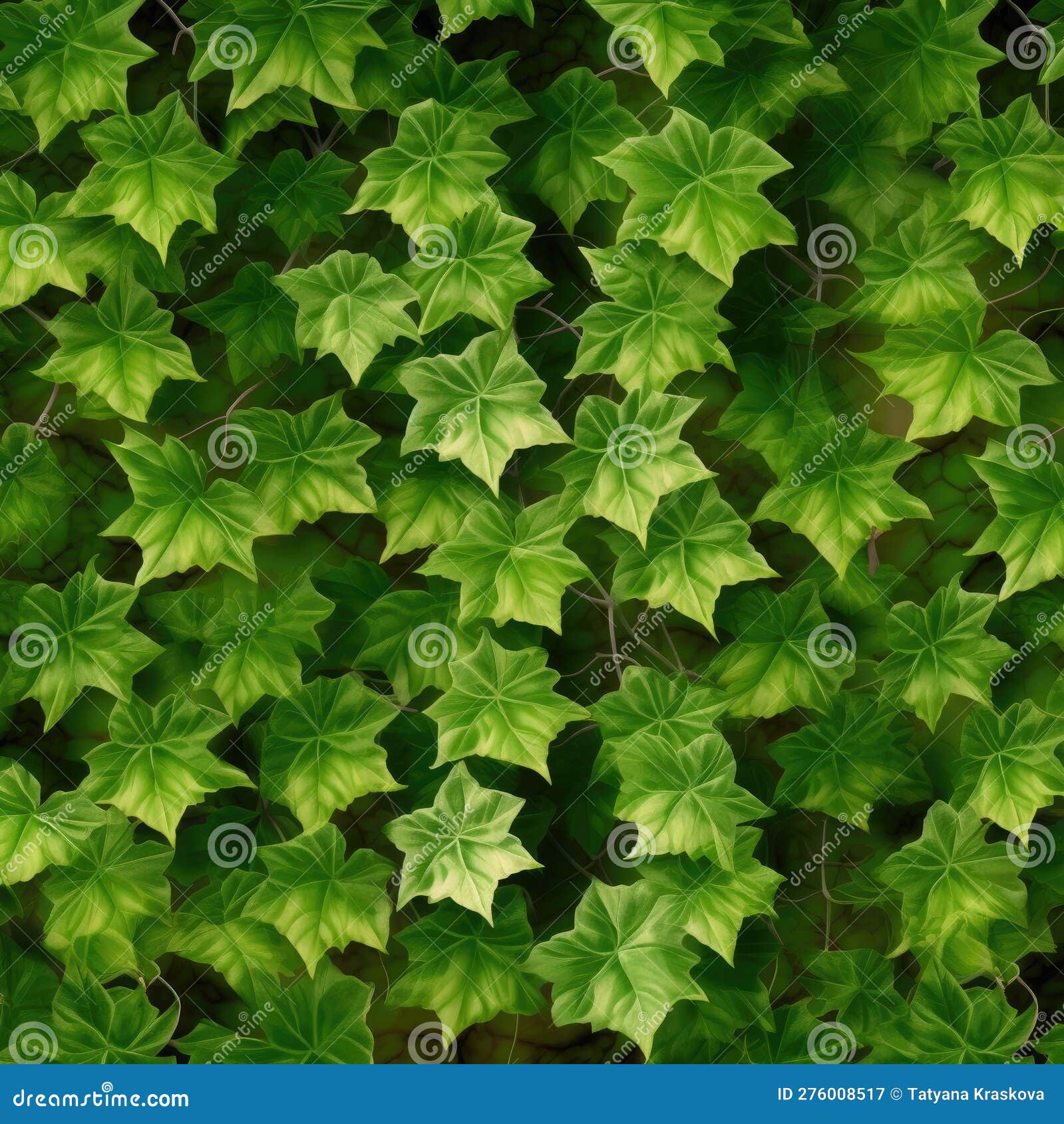 Green vine leaves stock illustration. Illustration of foliage - 276008517