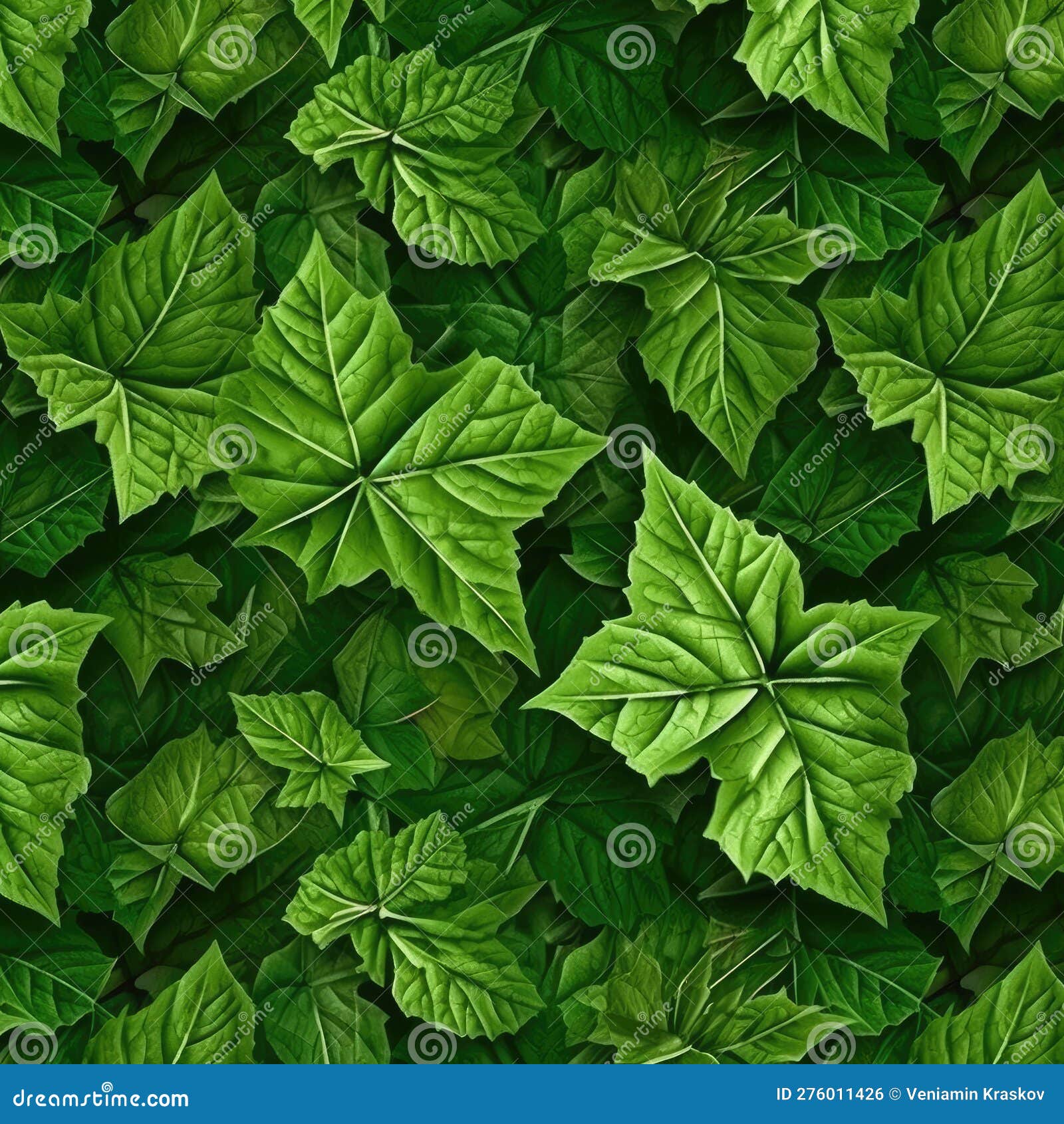Green vine leaves stock illustration. Illustration of growing - 276011426