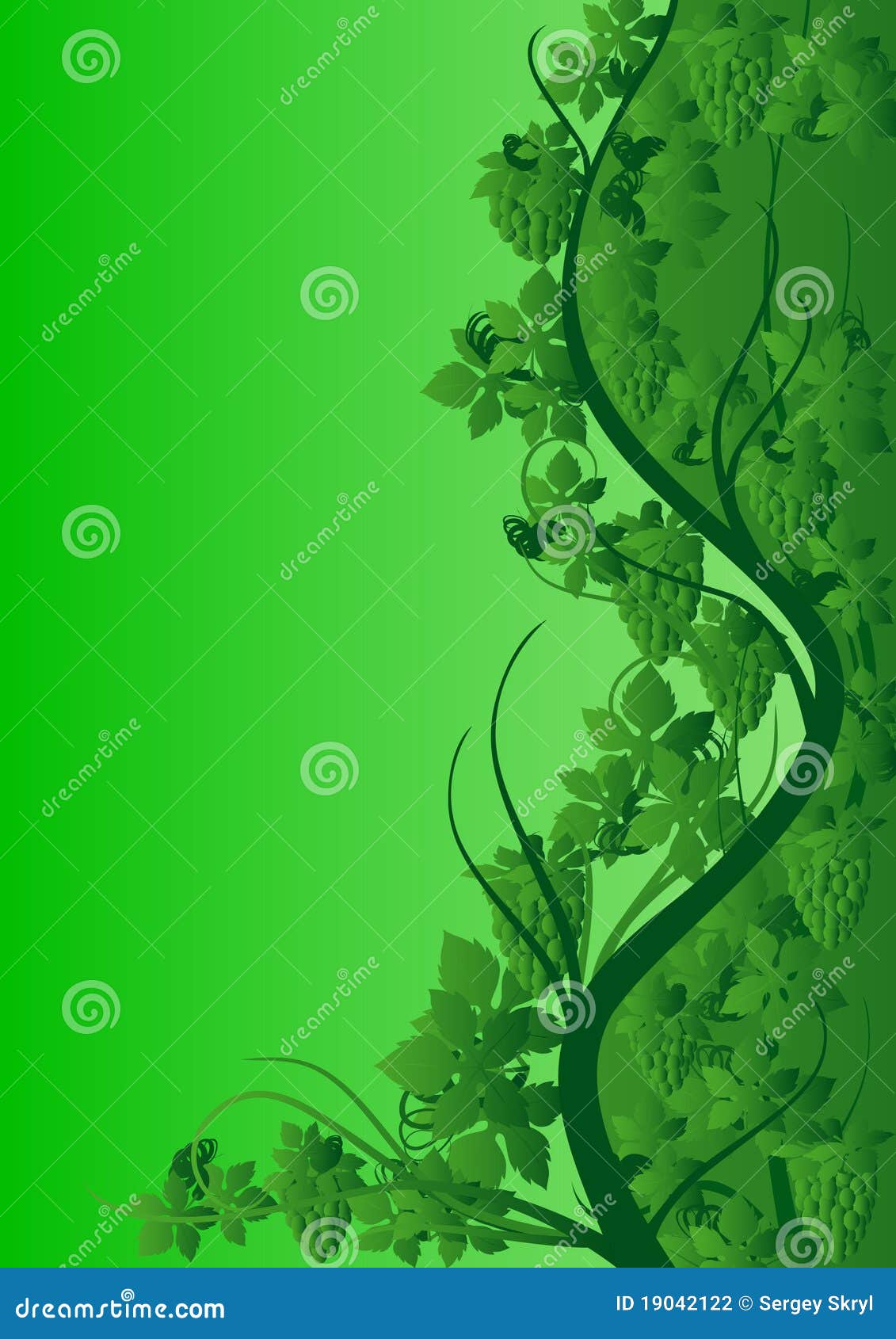 Green vine pattern stock vector. Illustration of abstraction - 19042122