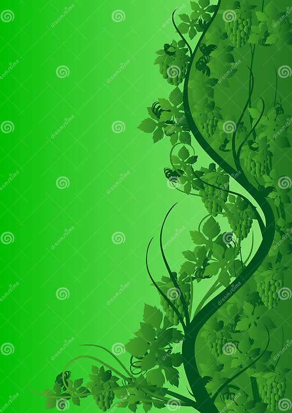 Green vine pattern stock vector. Illustration of abstraction - 19042122