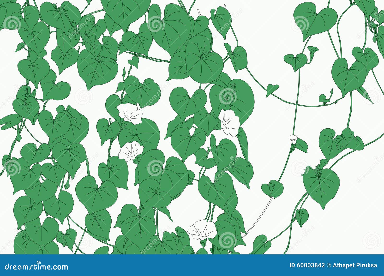 Green Vine on White Background Stock Illustration - Illustration of ...
