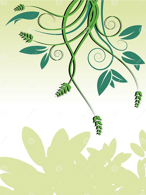 Green vines background stock vector. Illustration of floral - 5353004