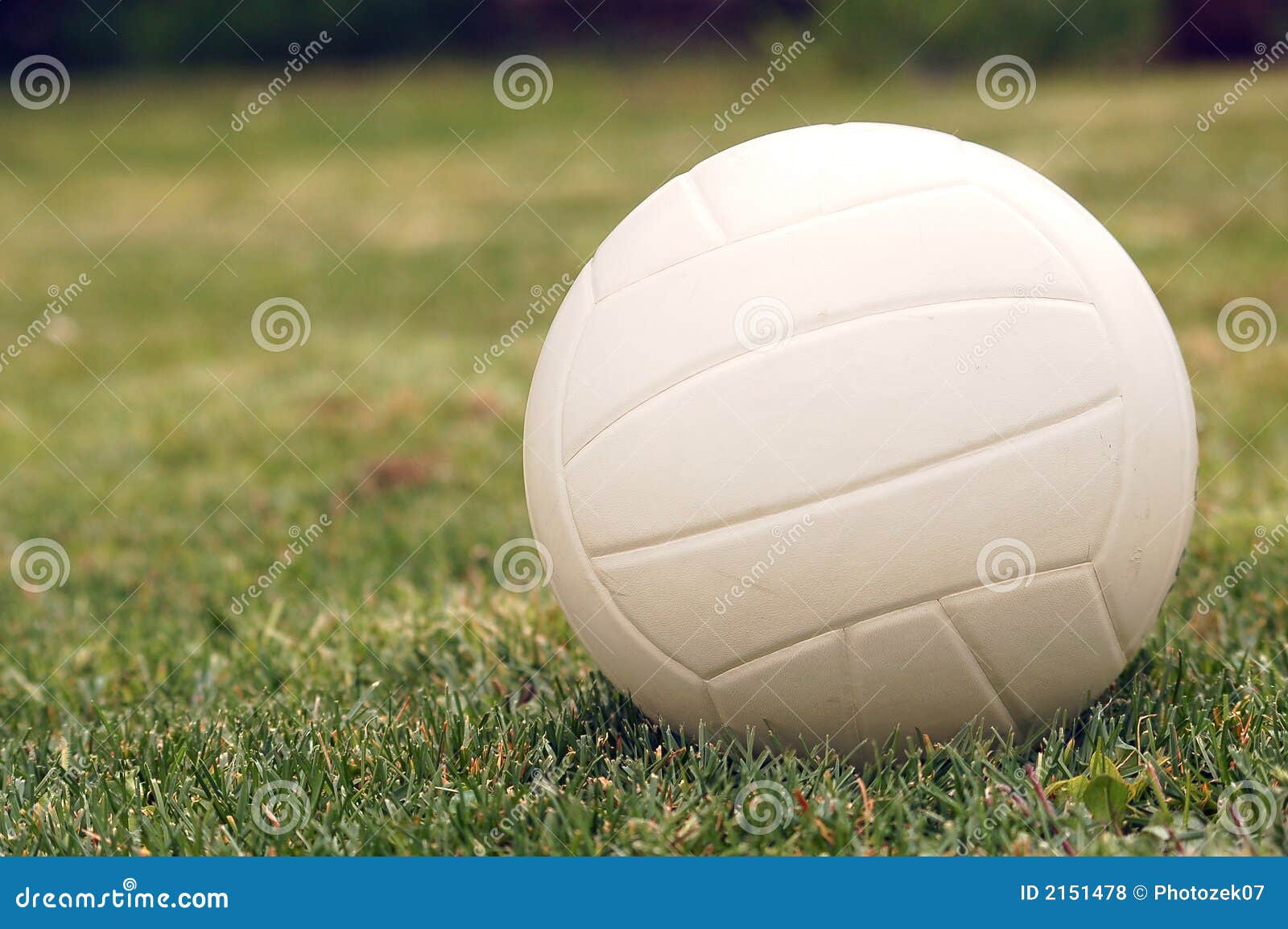 Green volley stock photo. Image of game, volleyball, playing - 2151478