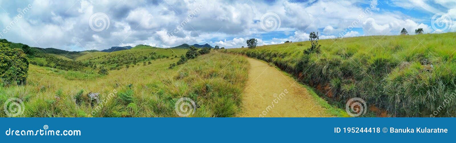Green Walking Path Panorama in Hill Country Stock Photo - Image of ...