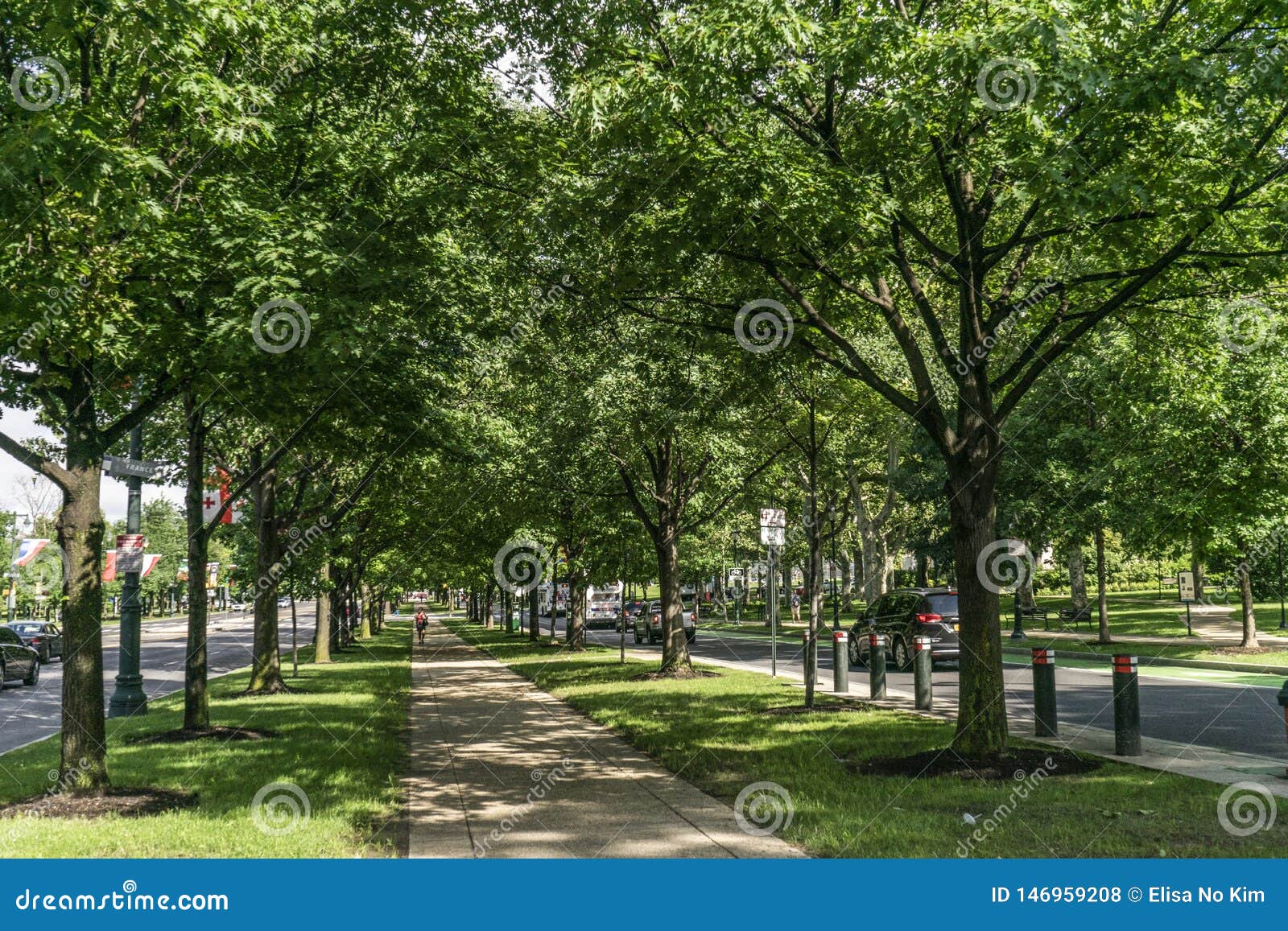 Green Pathway in Philadelphia Stock Photo - Image of walking, path ...