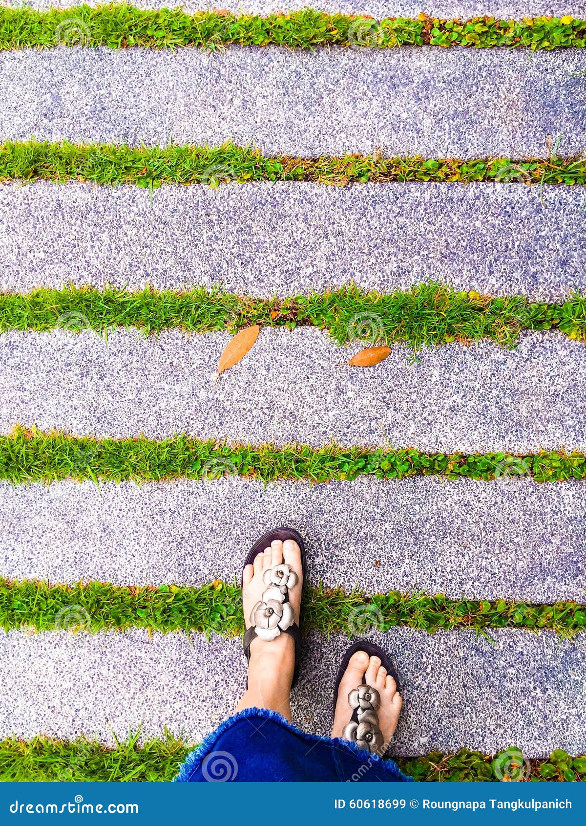 Green Walking stock image. Image of path, grass, walkway - 60618699