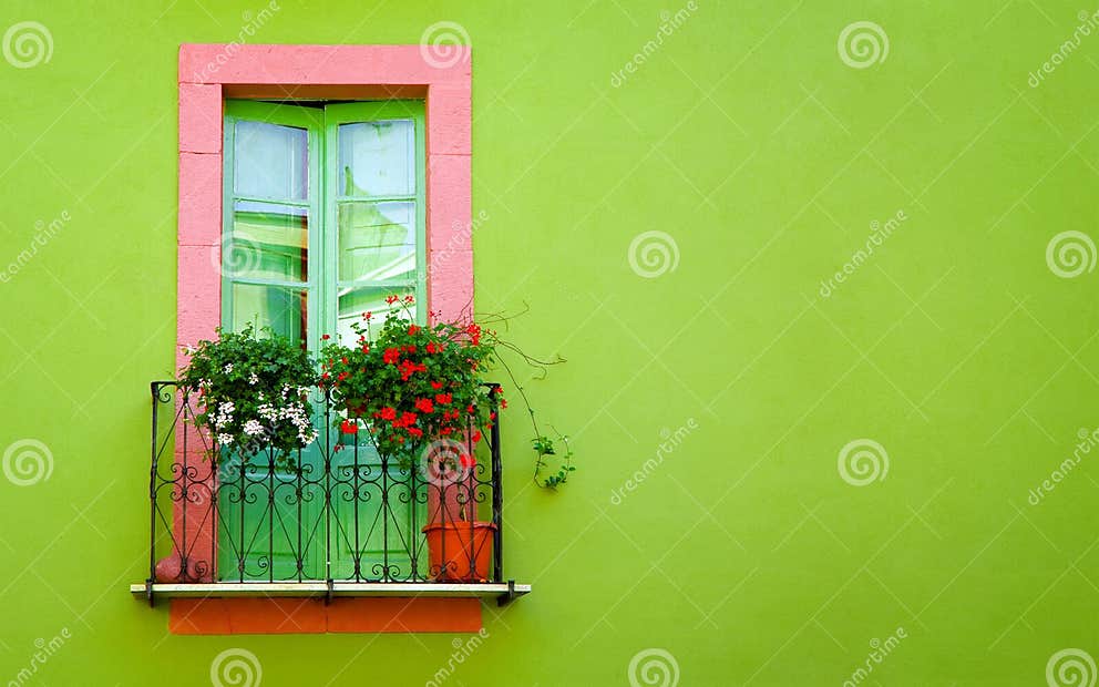 Green wall stock image. Image of flower, window, clear - 10940181