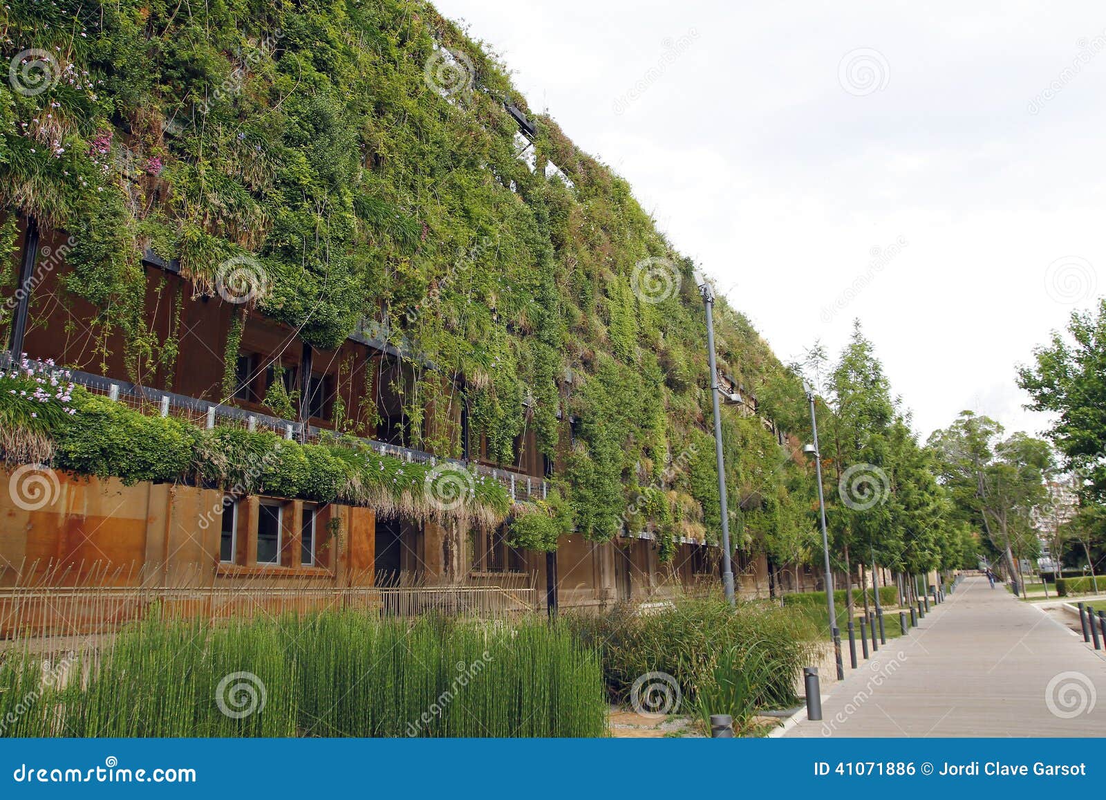 Green Wall in an Ecological Building Stock Photo - Image of facade ...