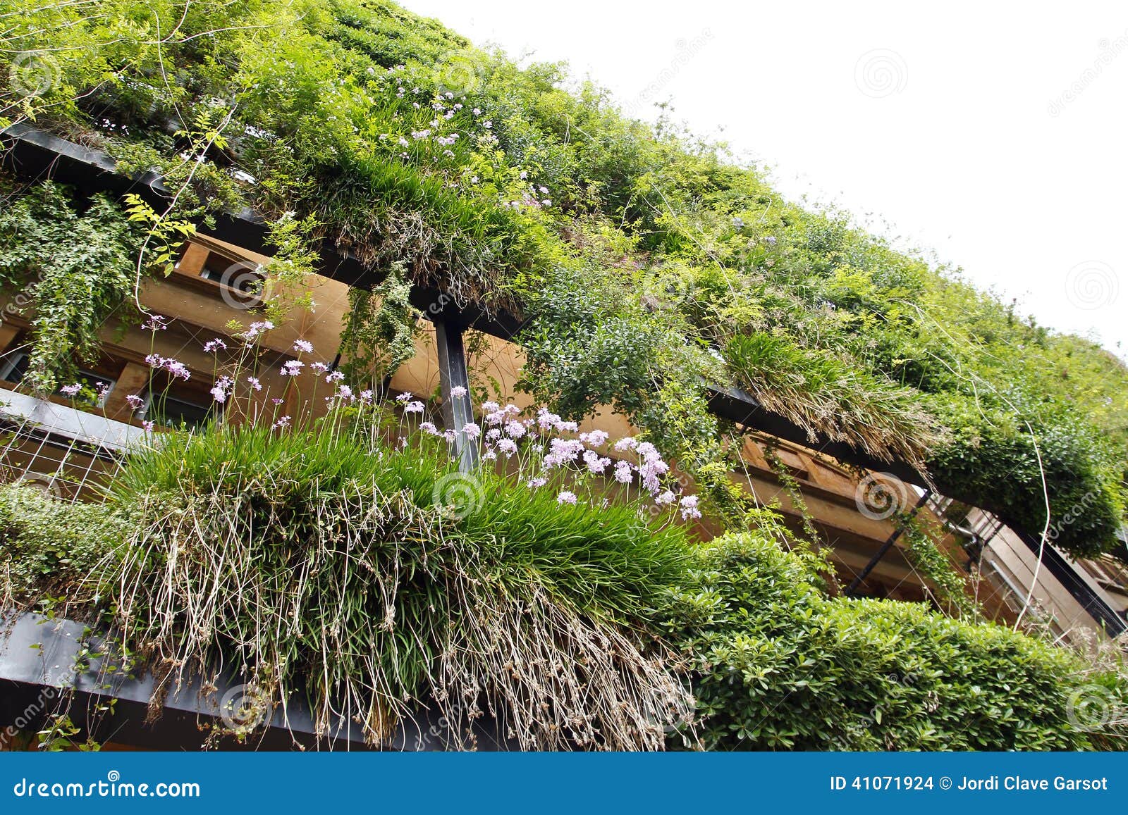 Green Wall in an Ecological Building Stock Photo - Image of ecology ...