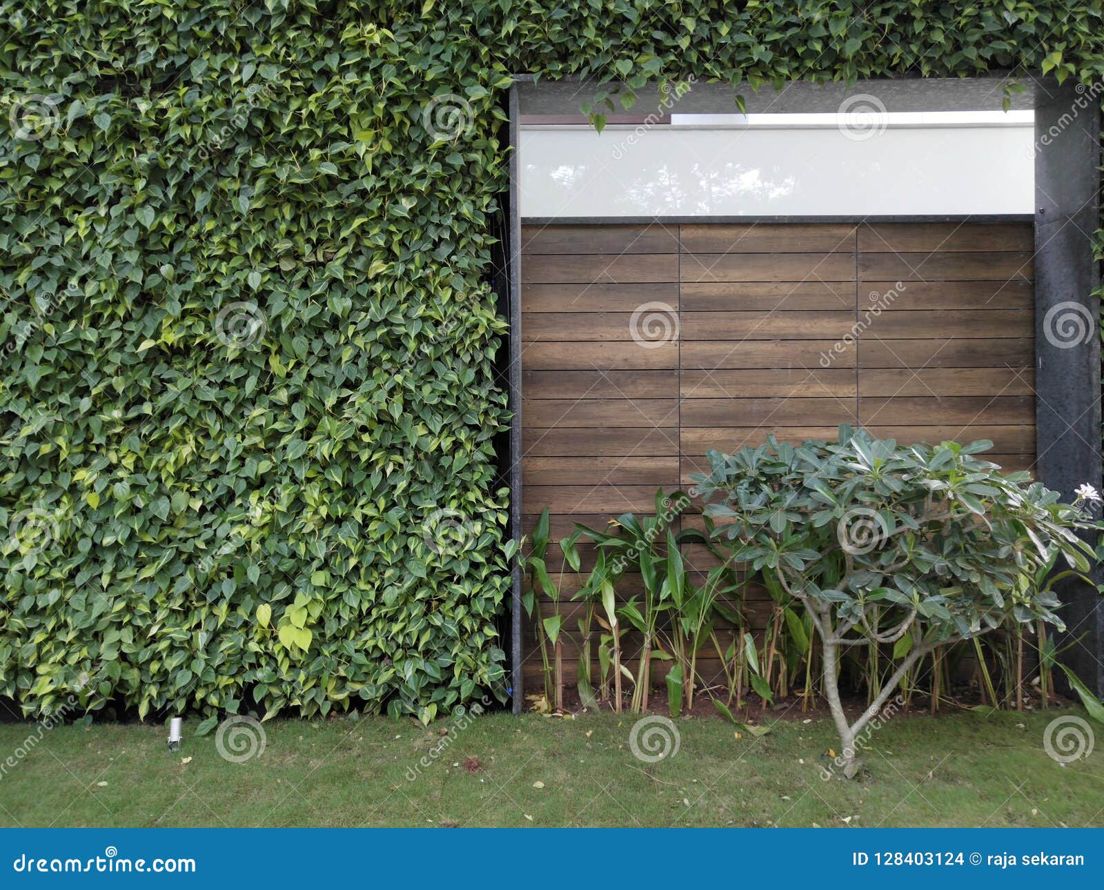 Green Wall with frame stock photo. Image of frame, wall - 128403124