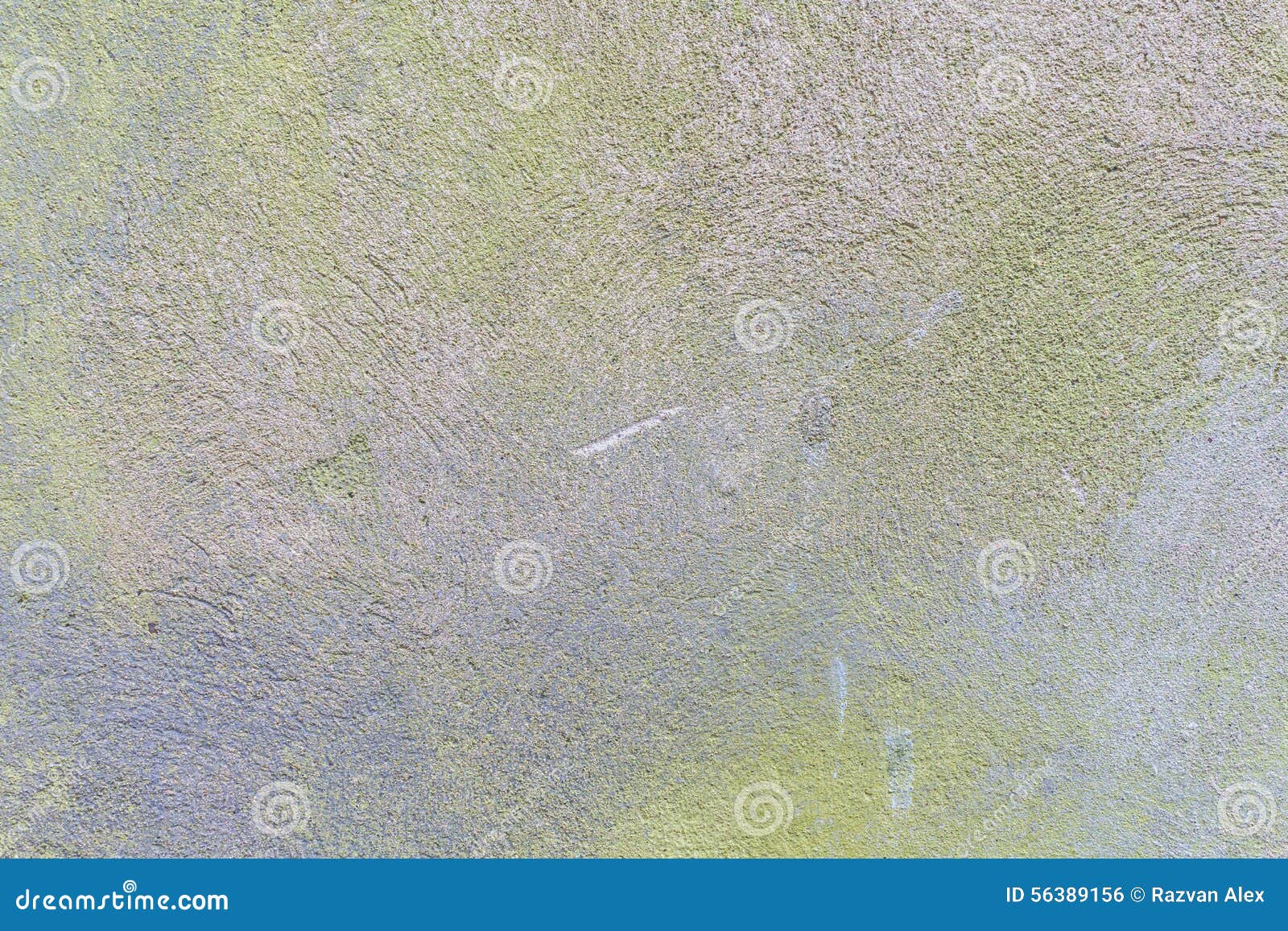 Green Wall Texture stock photo. Image of blank, architecture - 56389156