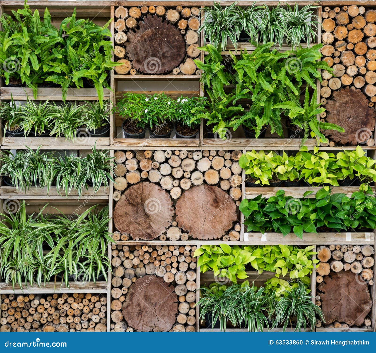 Green wall , Tree Wall stock photo. Image of growth, fence - 63533860