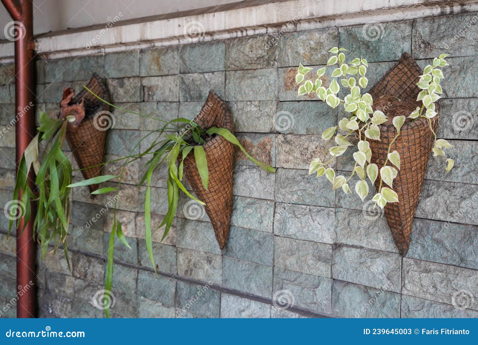 A Green Wall is a Vertical Built Structure Intentionally Covered by ...