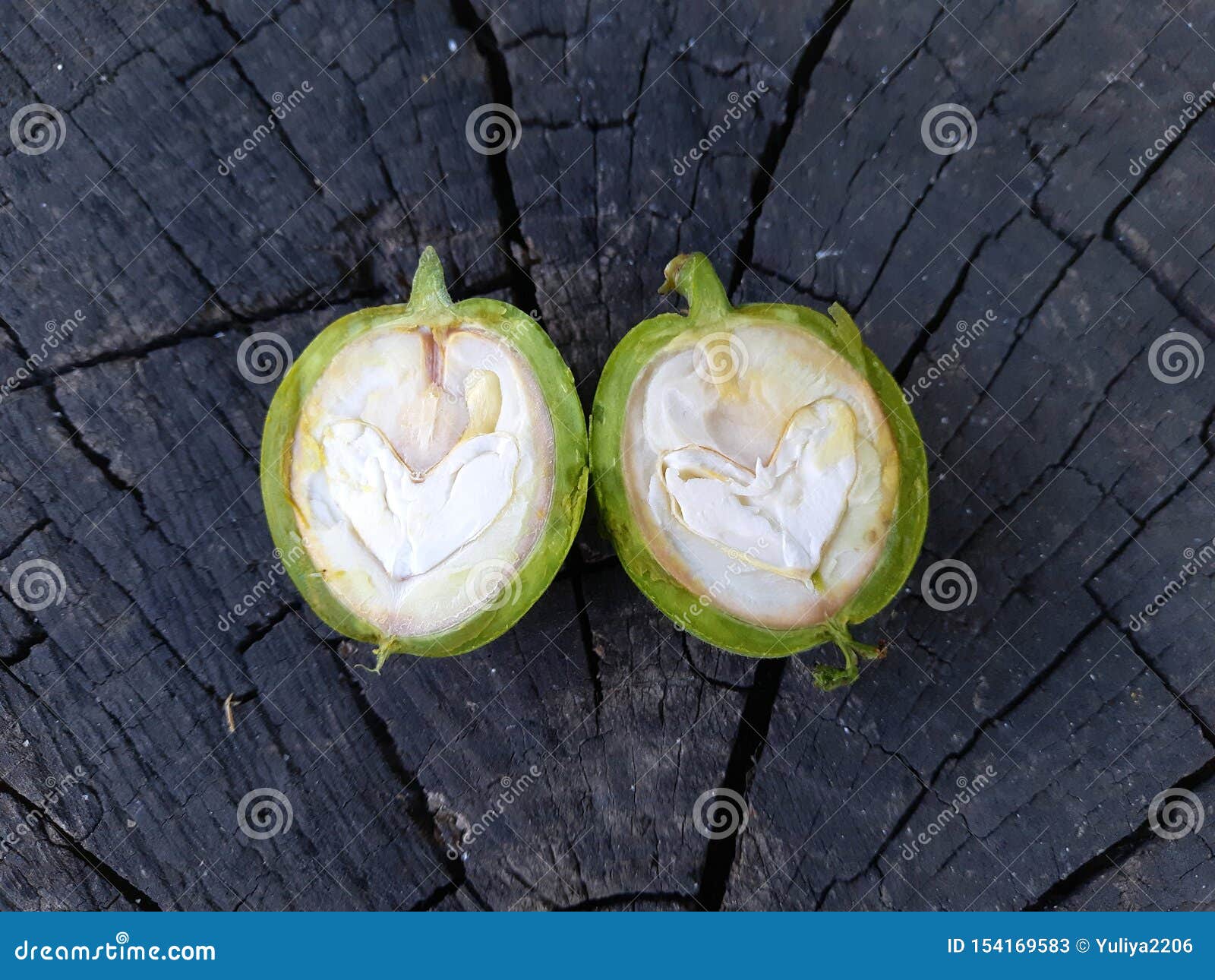 Green Walnut Cut in Two Halves Stock Image - Image of harvest, greek ...