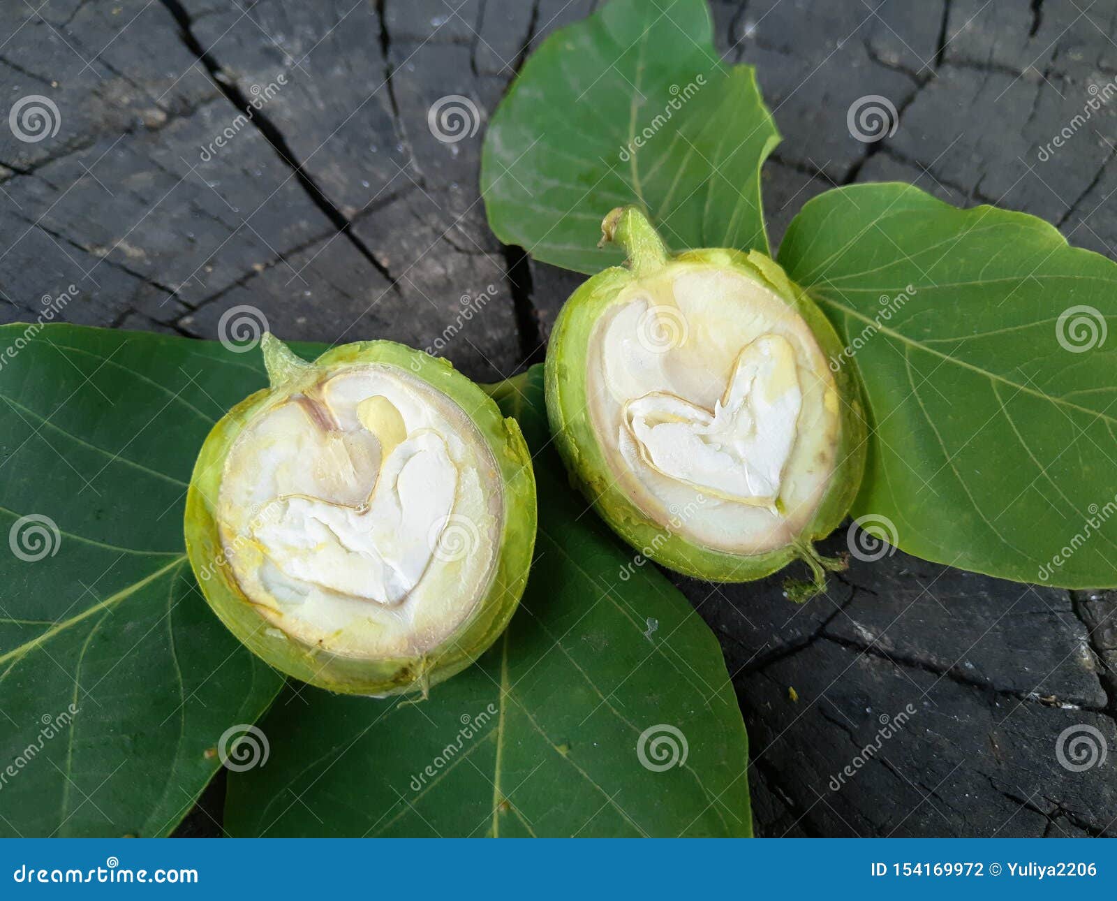 Green Walnut Cut in Two Halves Stock Photo - Image of leaves, healthy ...