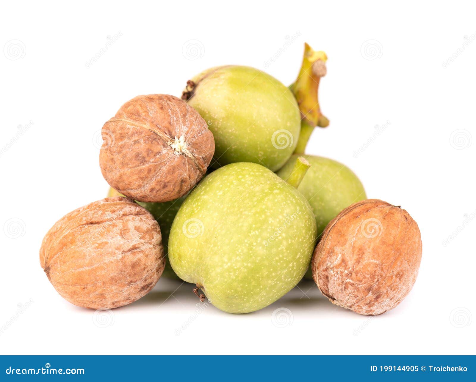 Green Walnut, Isolated on White Background. Peeled Walnut and Kernels ...