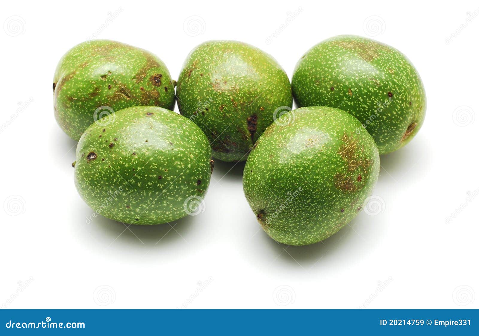Green walnuts stock image. Image of white, seed, green - 20214759