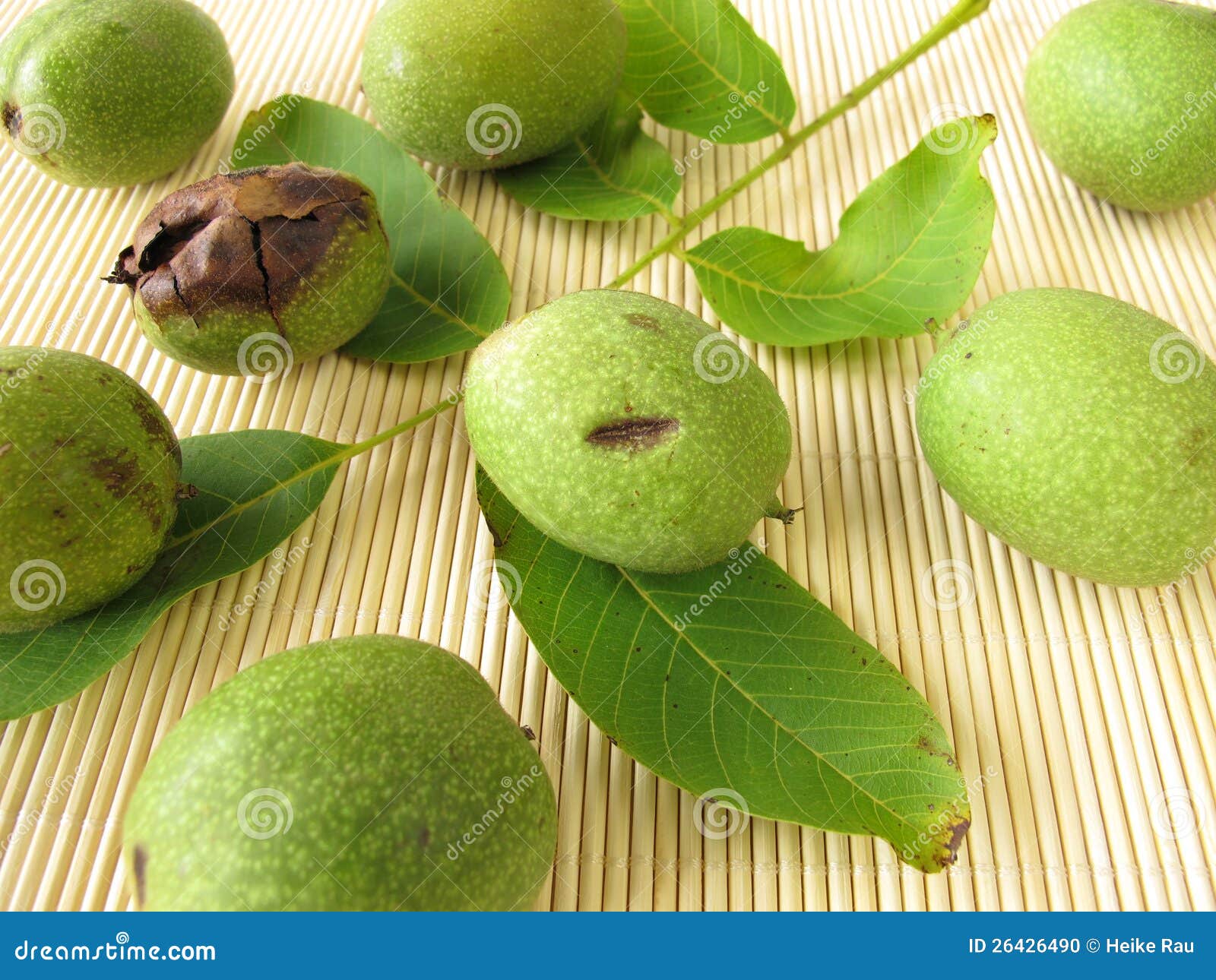 Green walnuts stock photo. Image of regia, nuts, color - 26426490