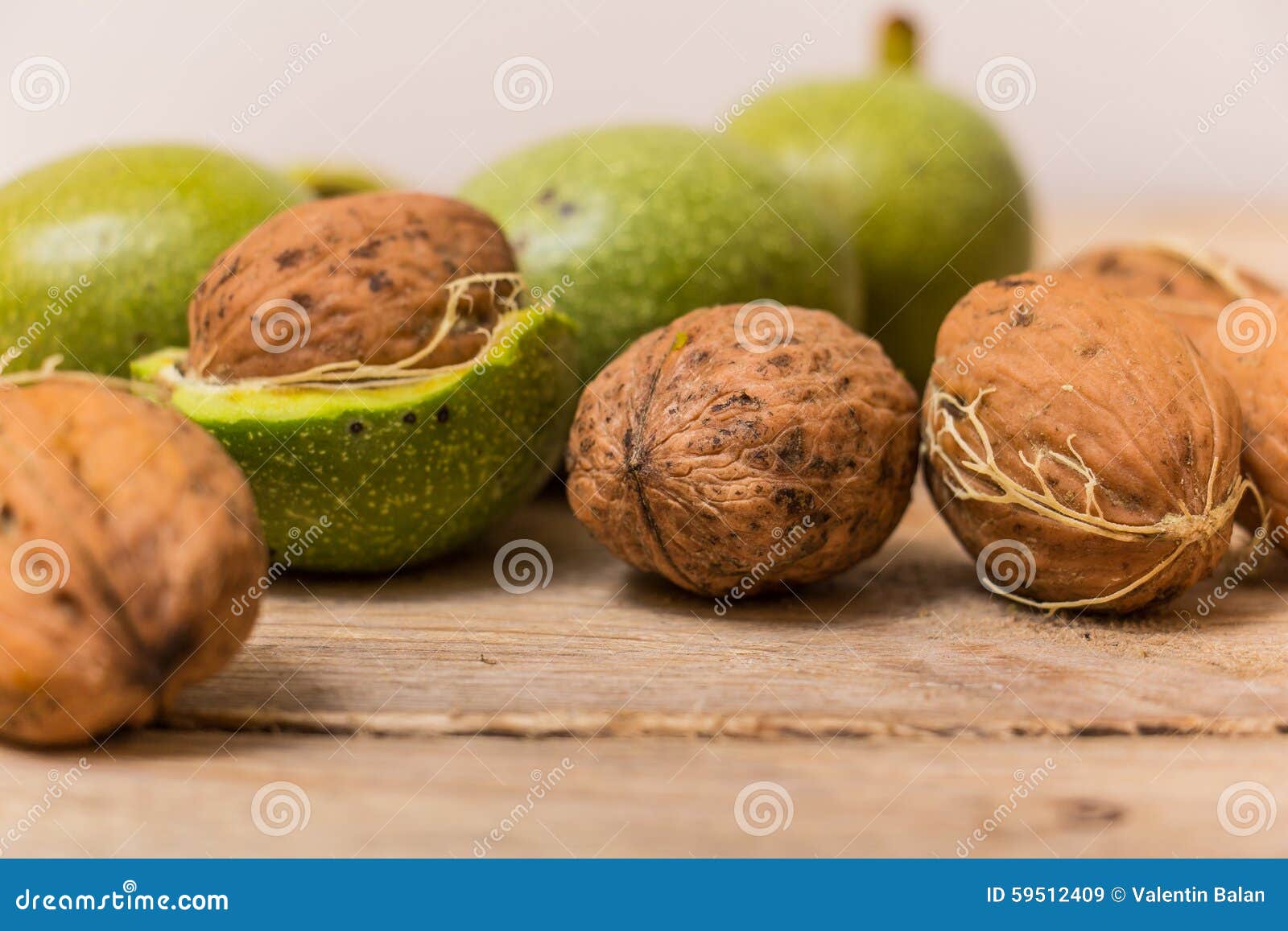 Green walnuts stock image. Image of nutshell, husk, immature - 59512409