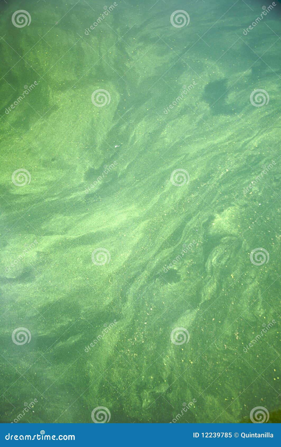 Green water stock image. Image of lagoon, europe, river - 12239785