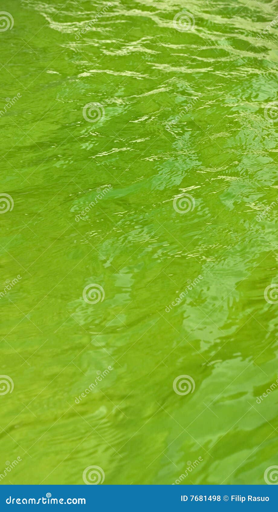 Green water stock photo. Image of water, green, splash - 7681498