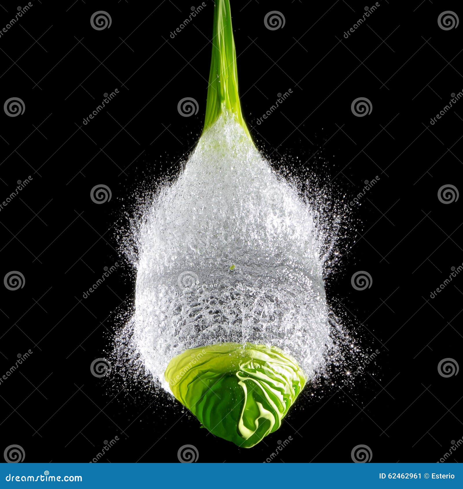 Green Water Balloon Explosion Burst Stock Image - Image of damage, soak ...