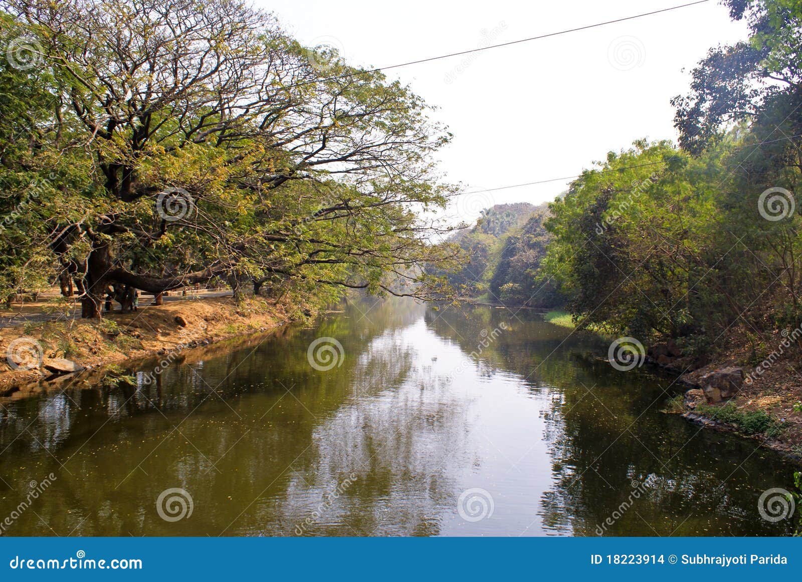 Green water channel stock photo. Image of river, plants - 18223914