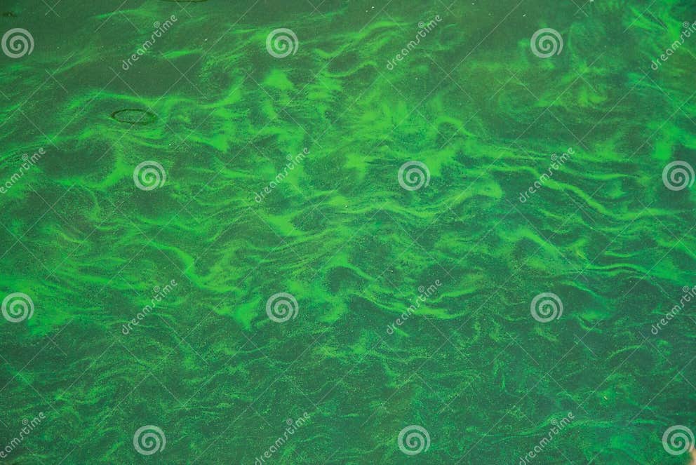 Green Water Effect with Sun Reflection in Swimming Pool Stock Image ...