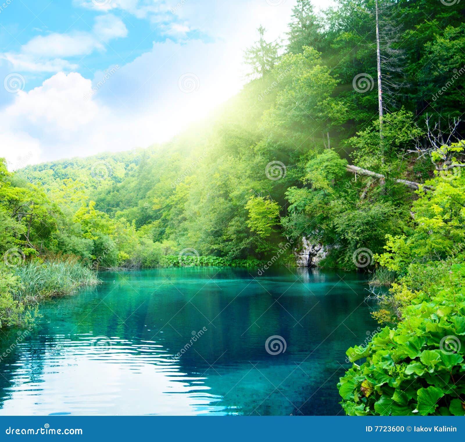Green water lake stock photo. Image of mountain, pond - 7723600