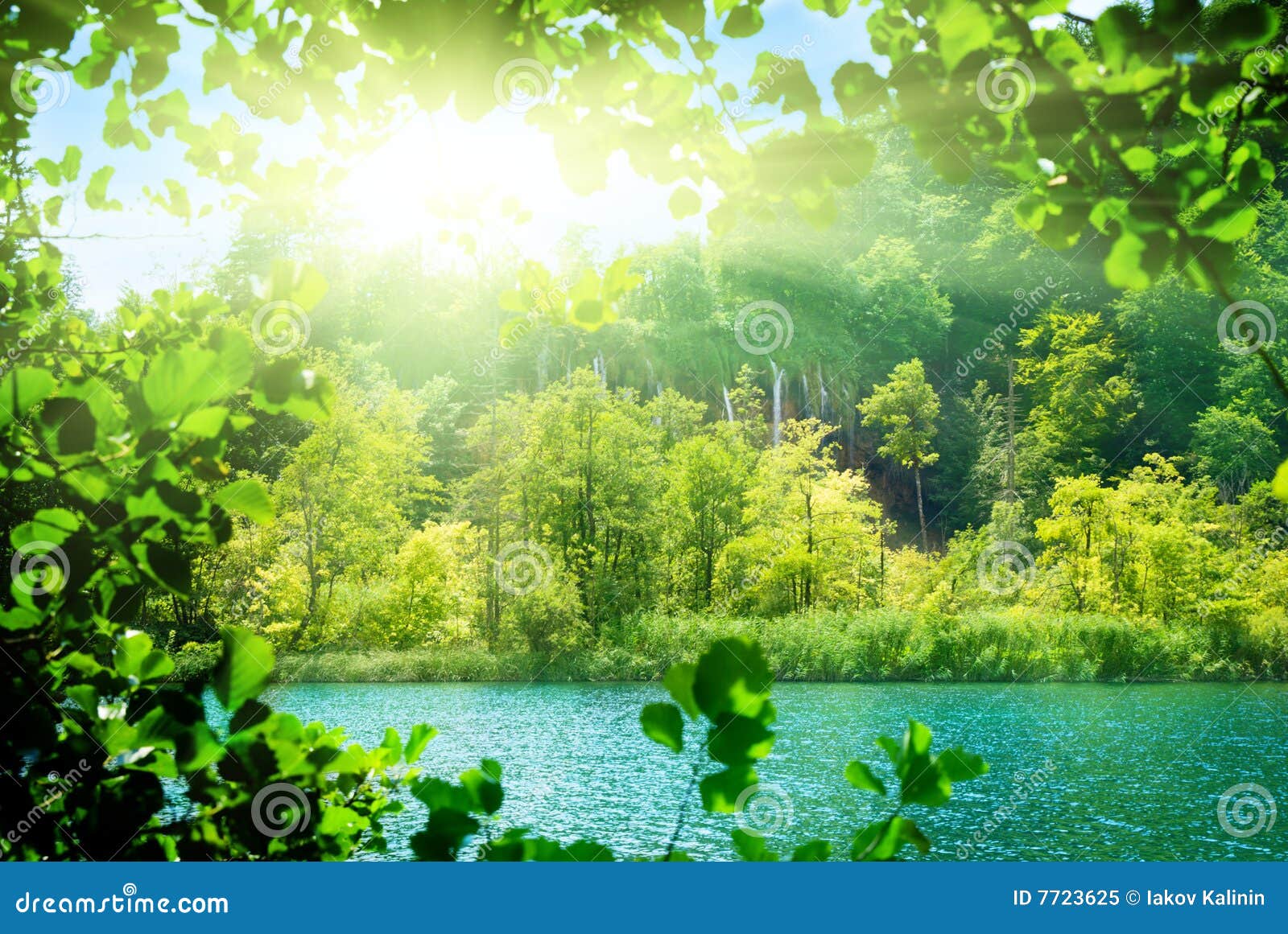 Green water lake stock image. Image of green, landscape - 7723625