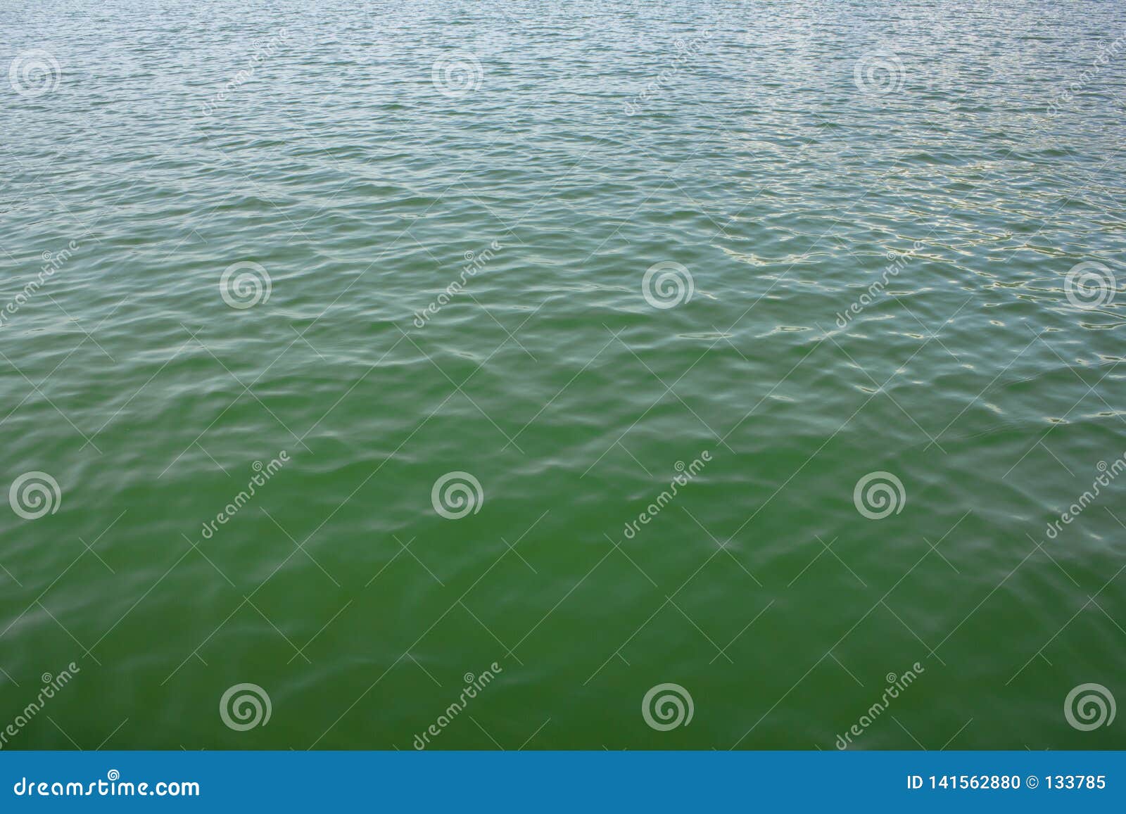 Green Water of a Lake with Small Waves Stock Photo - Image of deep ...