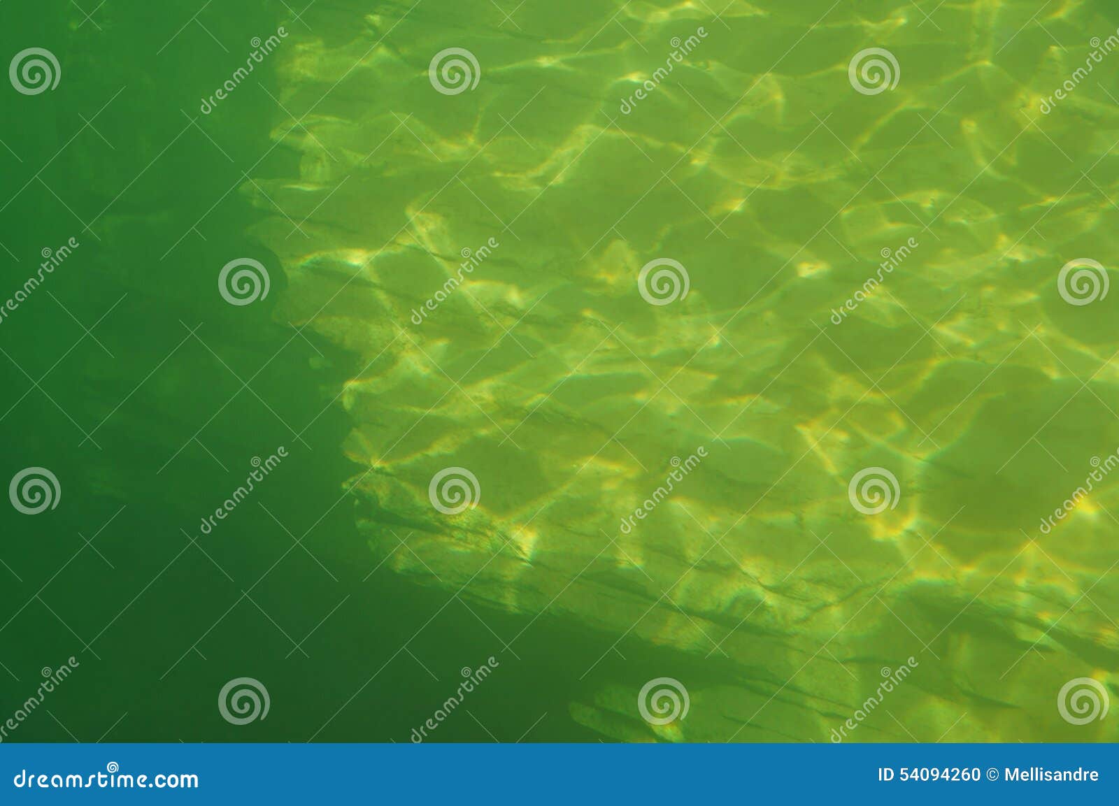 Green Water with Light Reflections Over Stony Bottom. Stock Photo ...