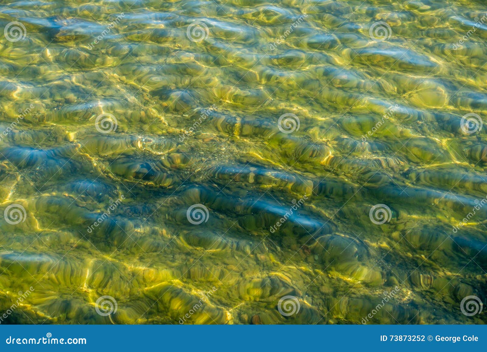 Green Water Patterns stock photo. Image of water, marco - 73873252