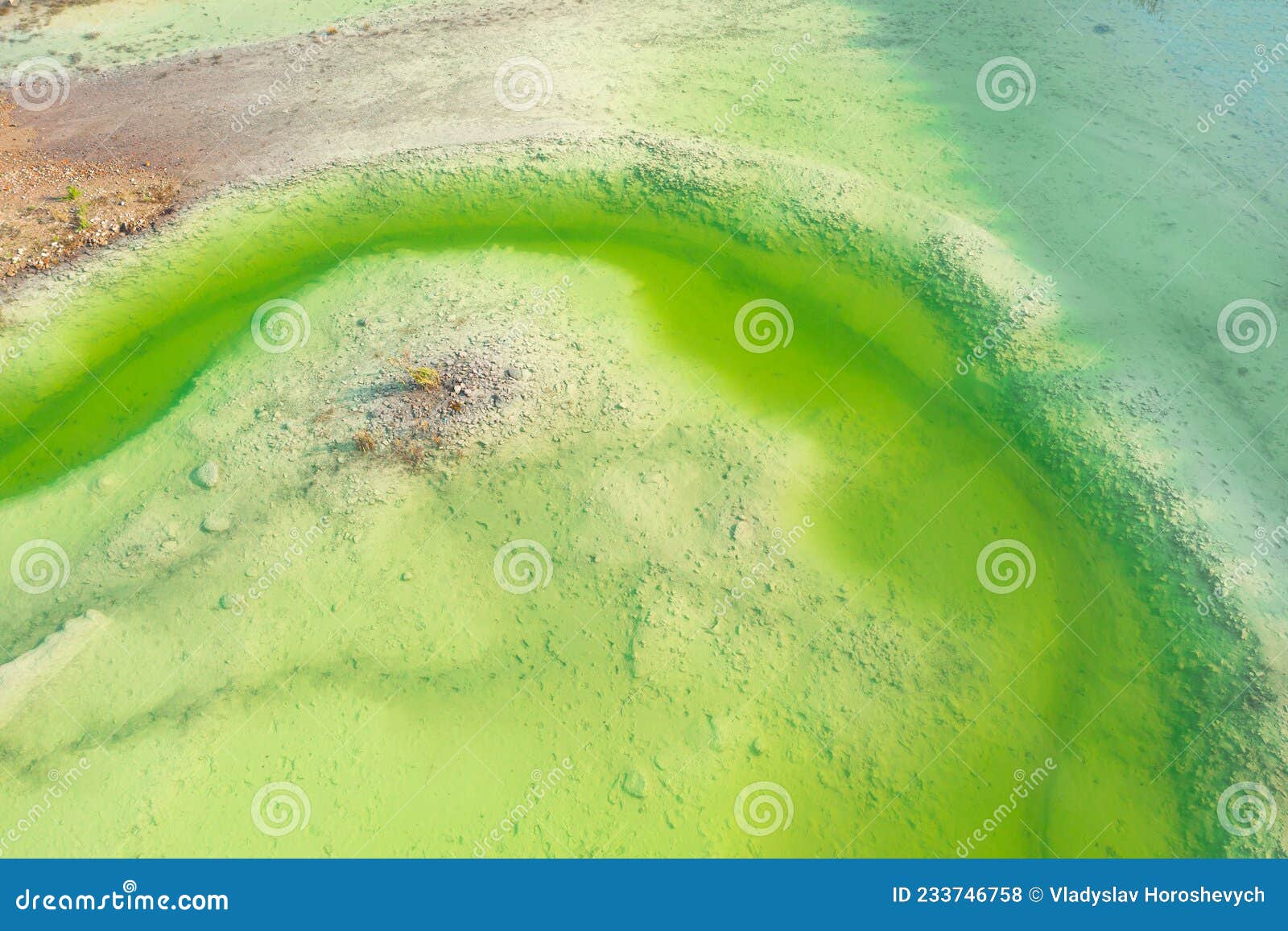Green Water in a Shallow Lake, Top View, for Background Stock Photo ...