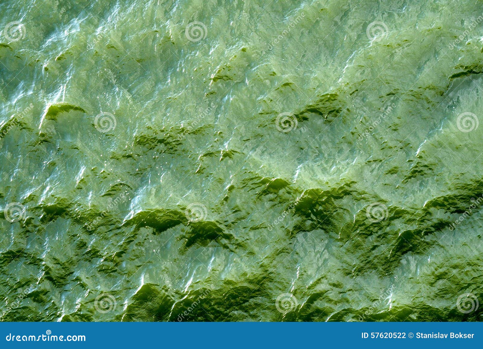 Green Water with Sun Reflections Background Stock Photo - Image of ...