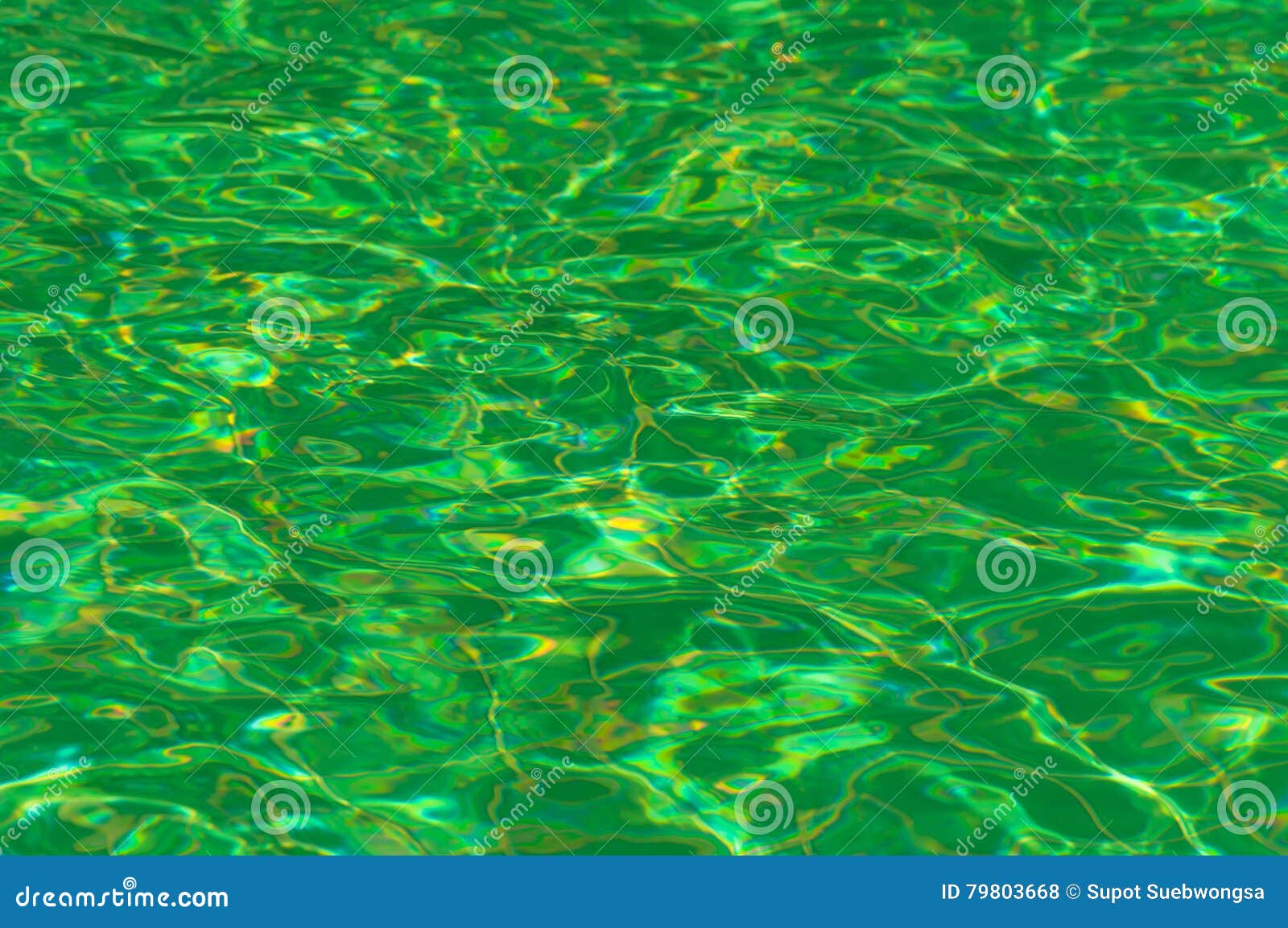 Green Water Surface with Sun Reflection Pool Stock Photo - Image of ...
