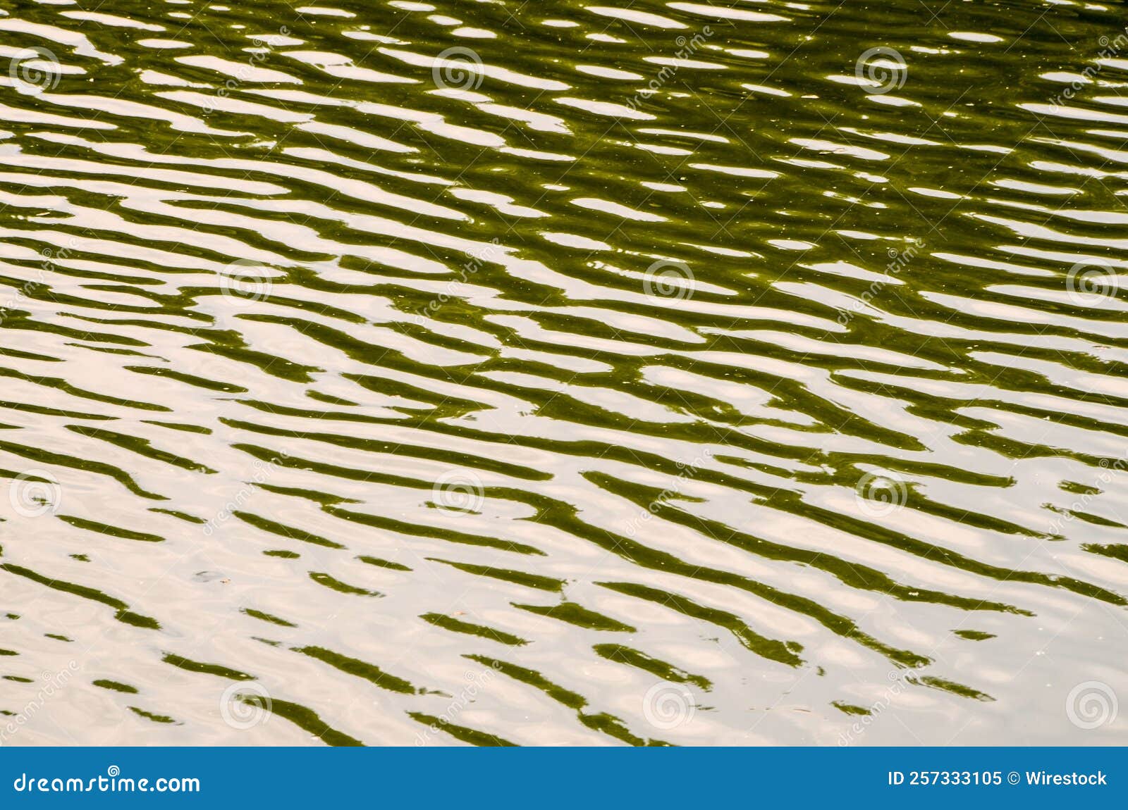 Green Water Texture , Digital Photo Image Stock Image - Image of flow ...