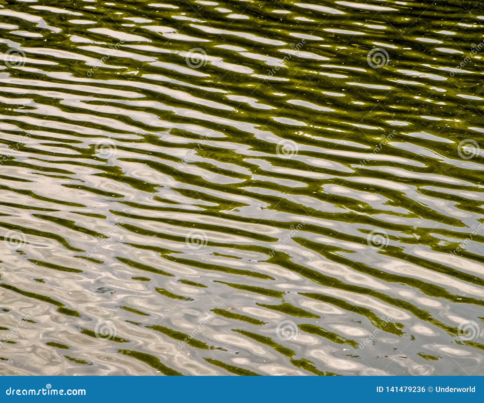 Green Water Texture stock photo. Image of fresh, green - 141479236