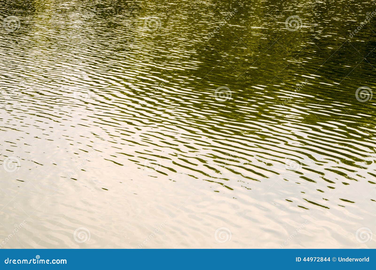 Green Water Texture stock photo. Image of color, aquatic - 44972844